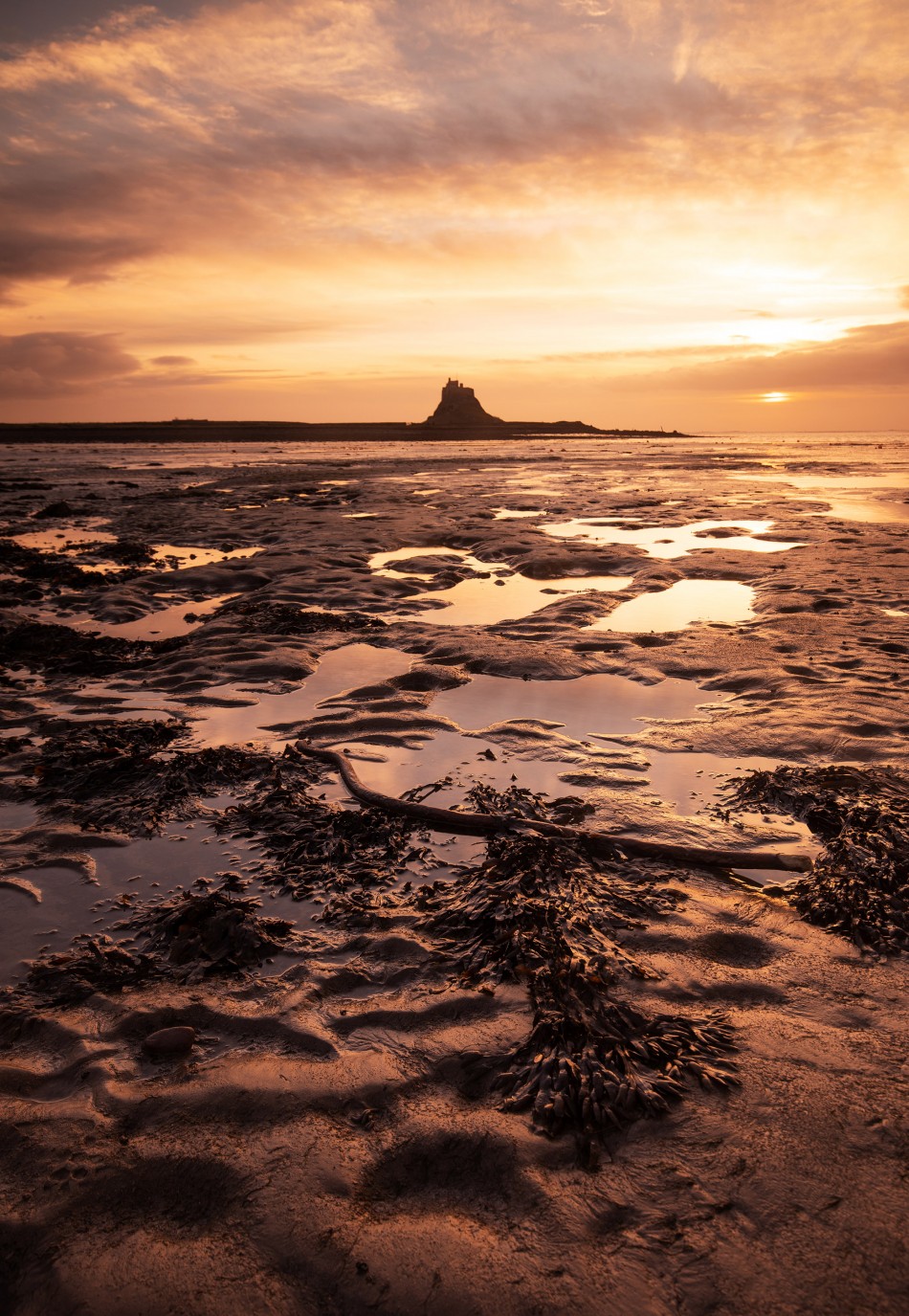 Michael Cartwright Photography Newsletter - Workshops, Tips & Updates