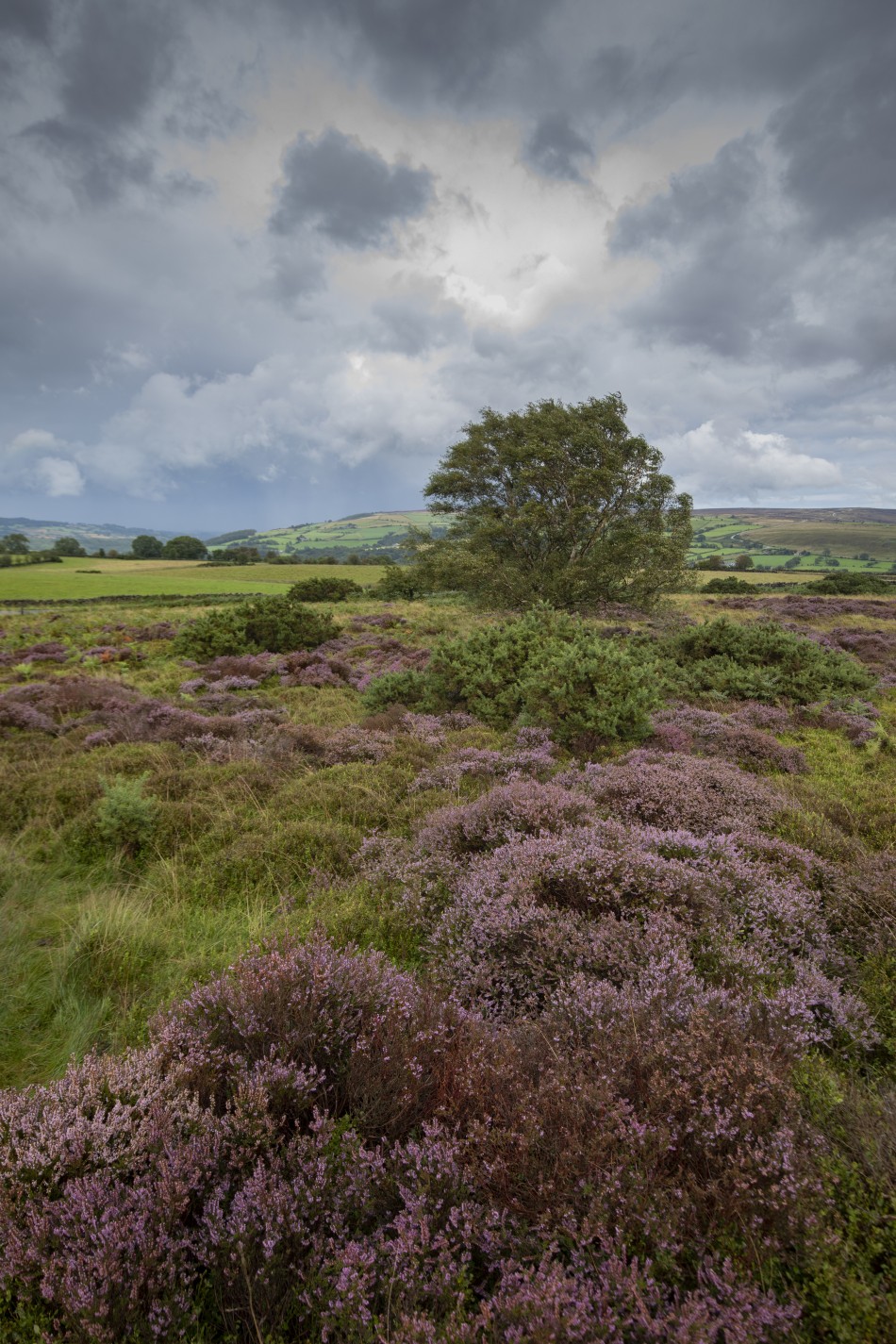 Michael Cartwright Photography Newsletter - Workshops, Tips & Updates